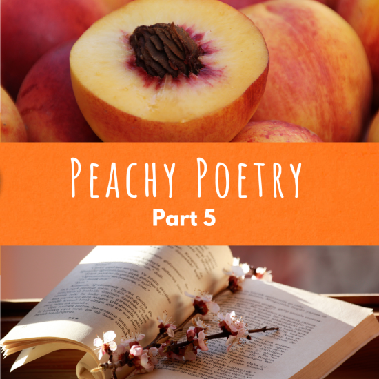 TICKLED MOON | Peachy Poetry - Part 5 - for Preserving Peace